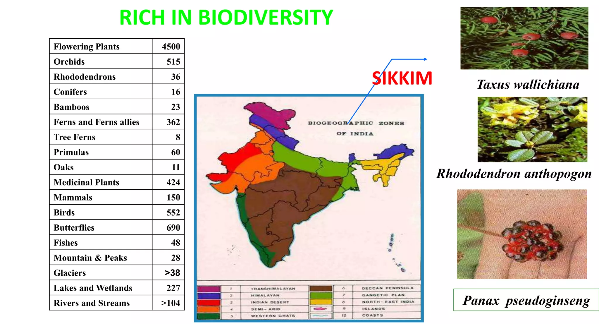 Eco tourism and sustainable development sikkim india june 18 | PPTX