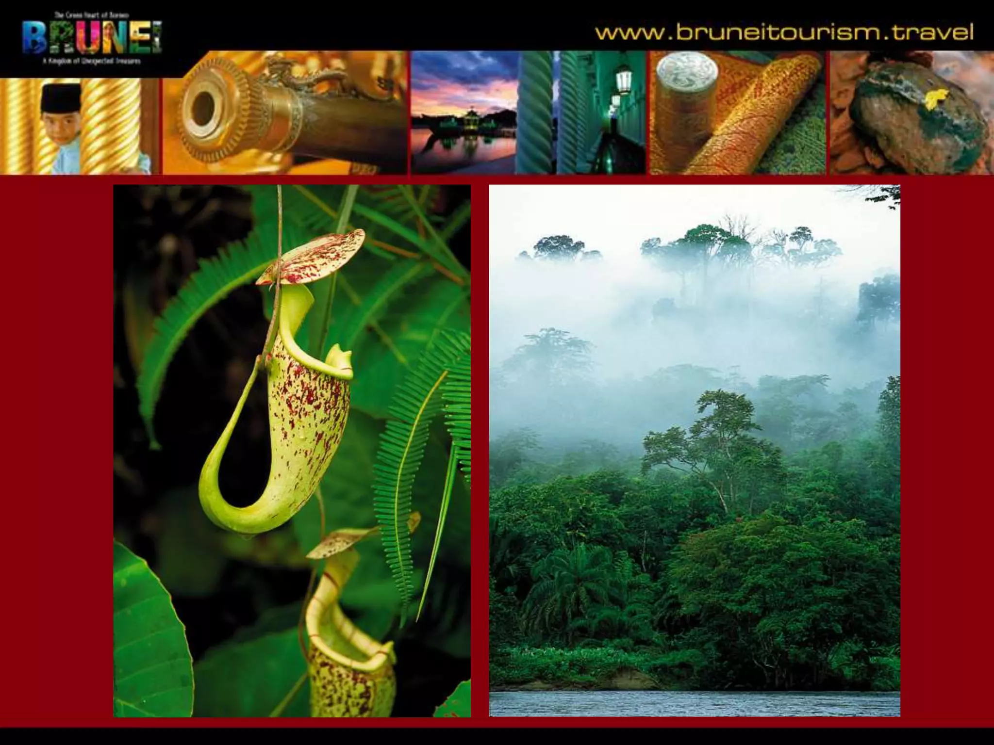 Eco-tourism in Brunei Darussalam | PPT