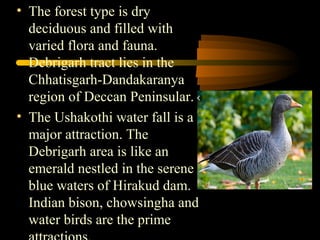 Ecotourism | PPT | Zoos & Aquariums | Attractions