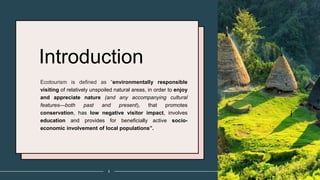 Ecotourism in New Zealand.pptx