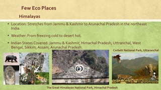 Ecotourism in India | PPTX