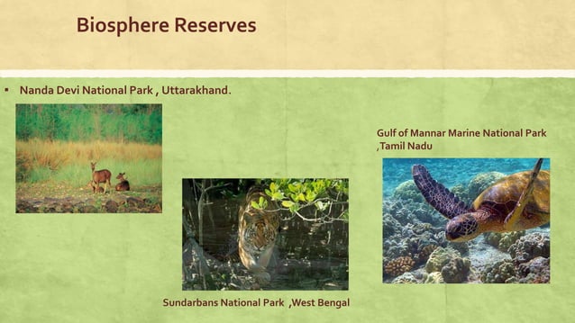 Ecotourism in India | PPTX | Travel Locations | Travel