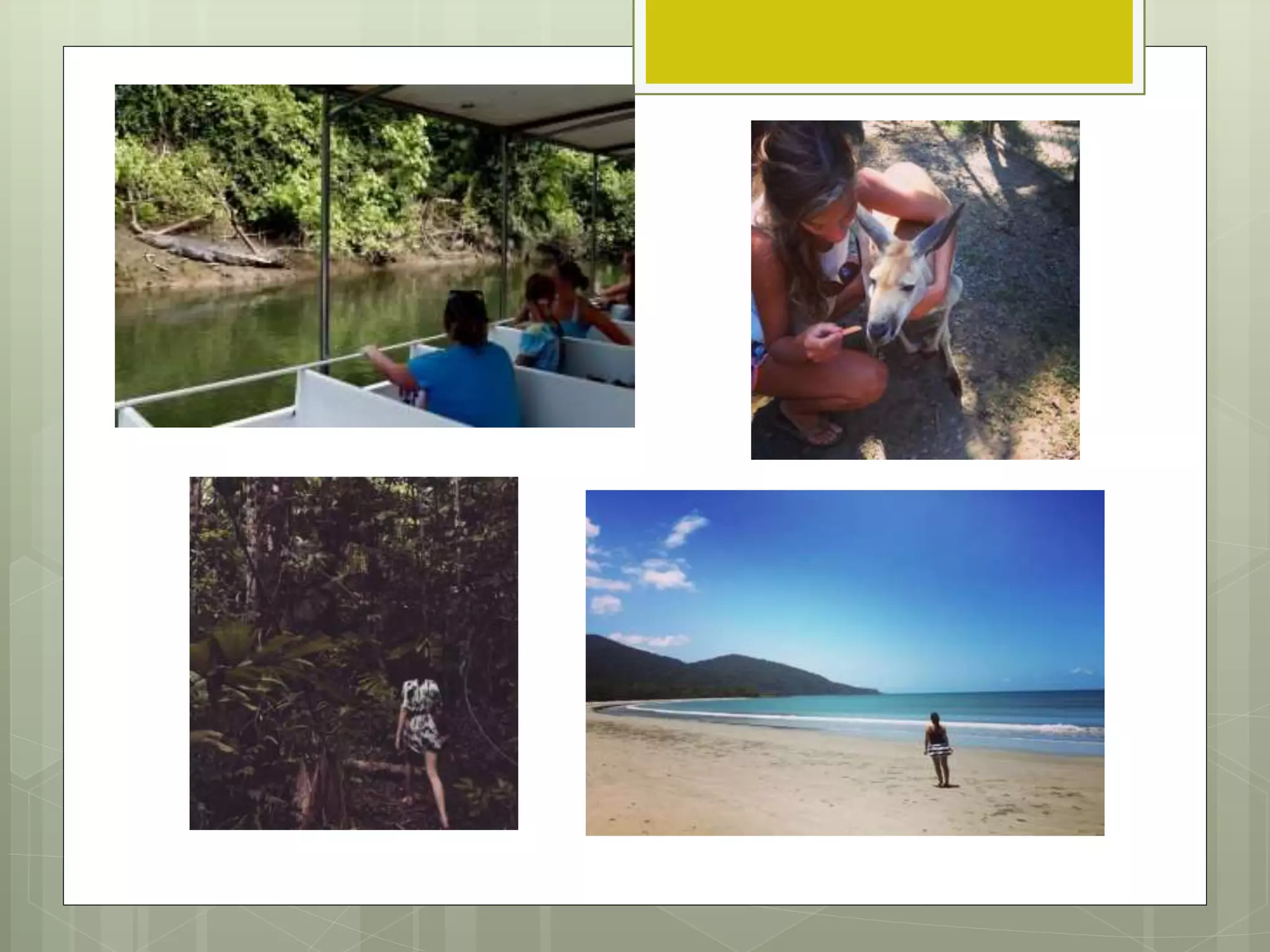 Ecotourism project | PPTX