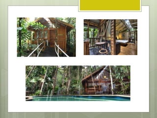 Ecotourism project | PPTX