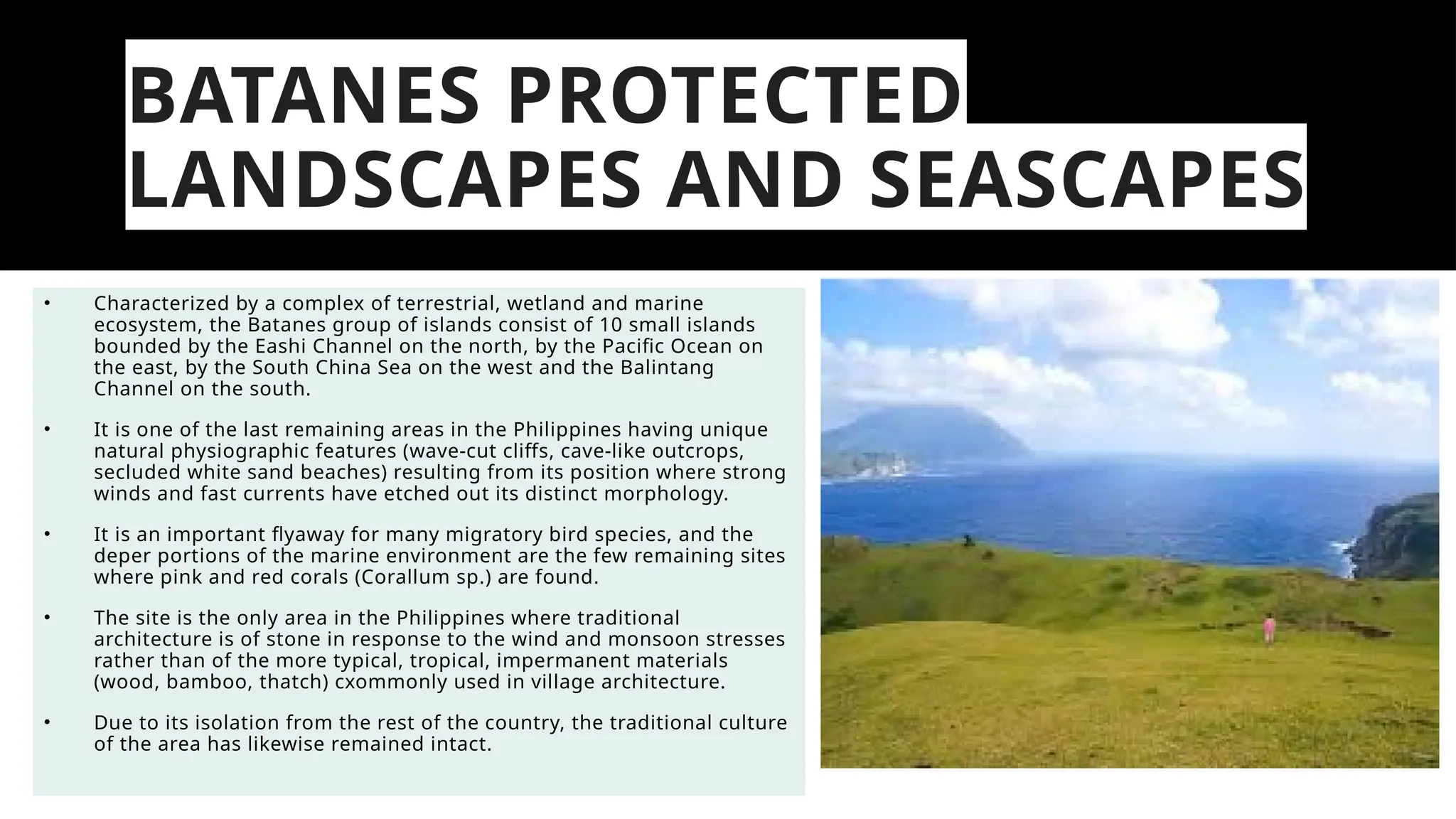 Ecotourism sites in the philippines.pptx