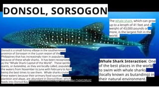 Ecotourism sites in the philippines.pptx