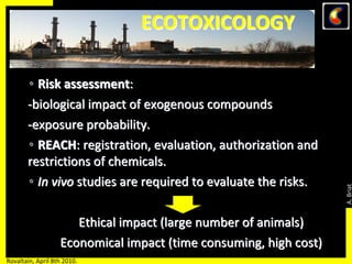 Ecotox | PDF