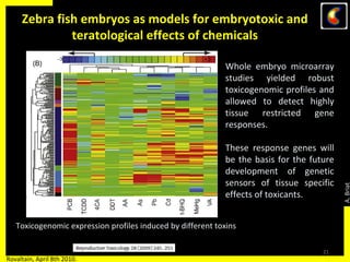 Ecotox | PDF | Genetics | Science