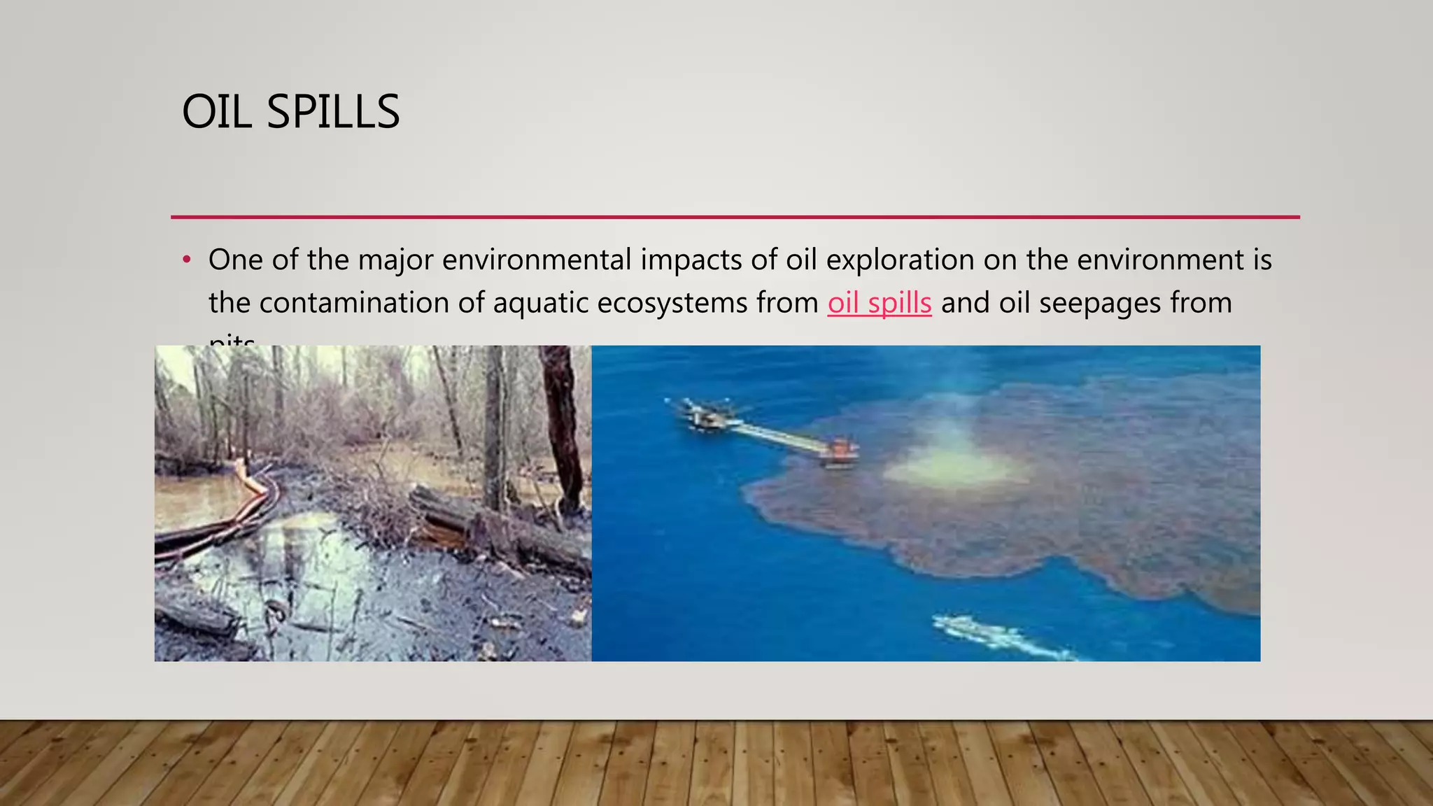 Ecotoxicology & ecotoxicity | PPTX