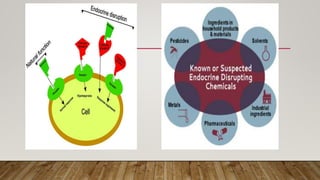 Ecotoxicology & ecotoxicity | PPTX