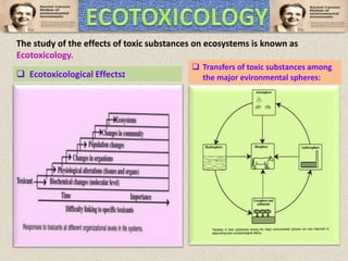 Ecotoxicology ppt 1 | PPTX