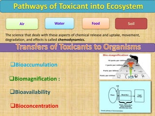 Ecotoxicology ppt 1 | PPTX