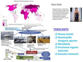 Ecotoxicology ppt 1 | PPTX