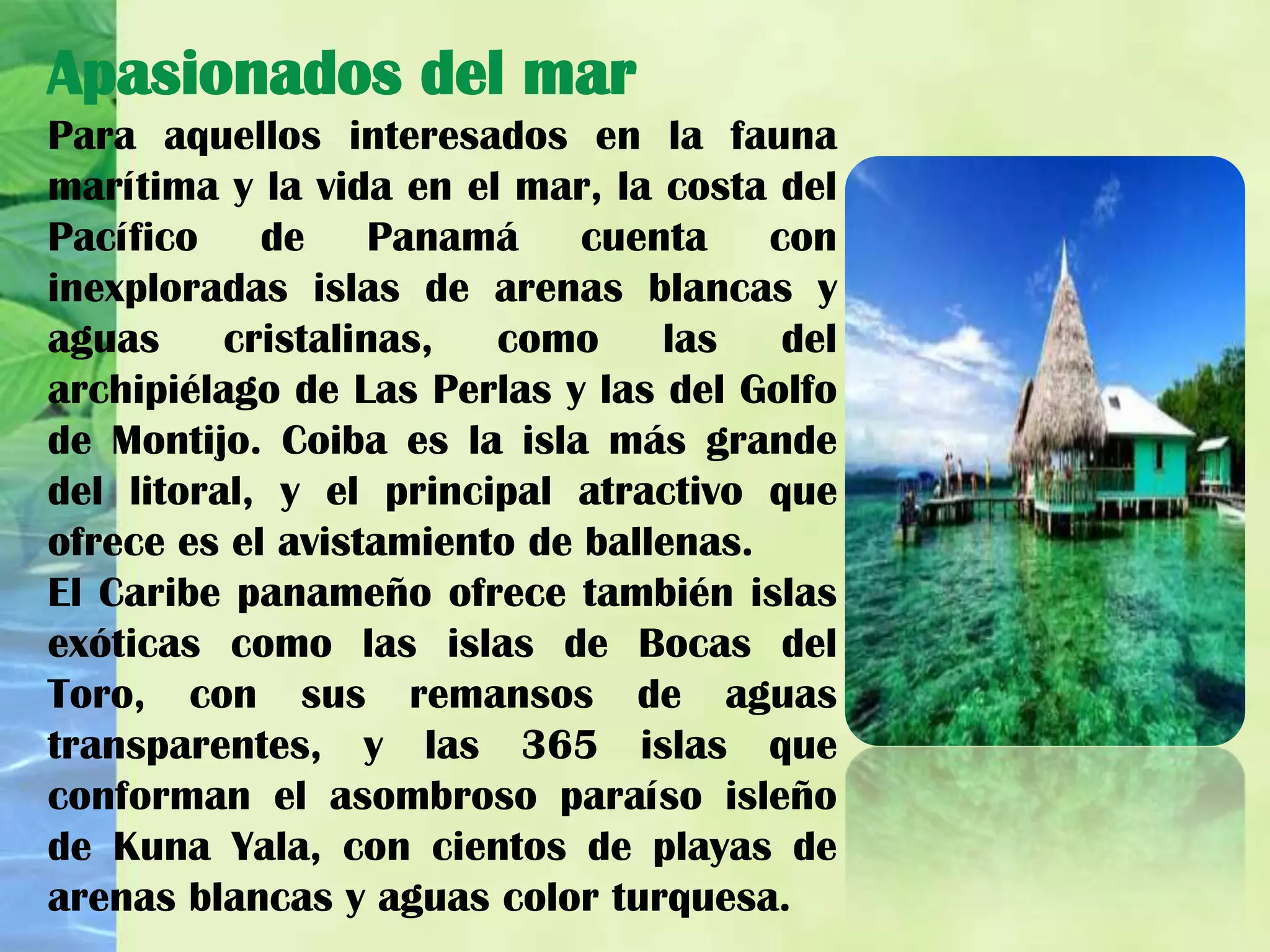 Ecoturismo en Panamá | PPTX