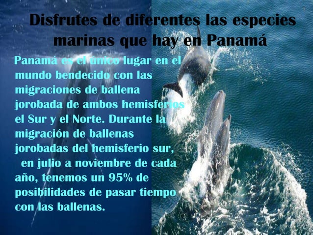 Ecoturismo en Panamá | PPTX