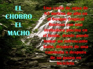 Ecoturismo en Panamá | PPT