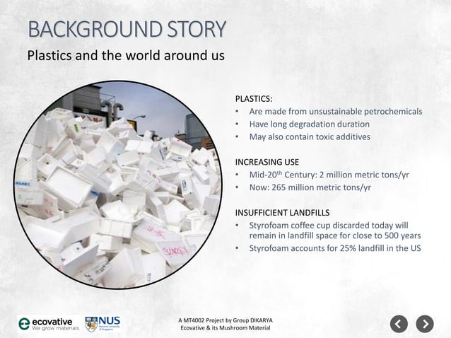 Eco-Friendly Mushroom materials | PDF