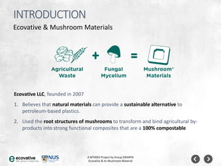 Eco-Friendly Mushroom materials | PDF