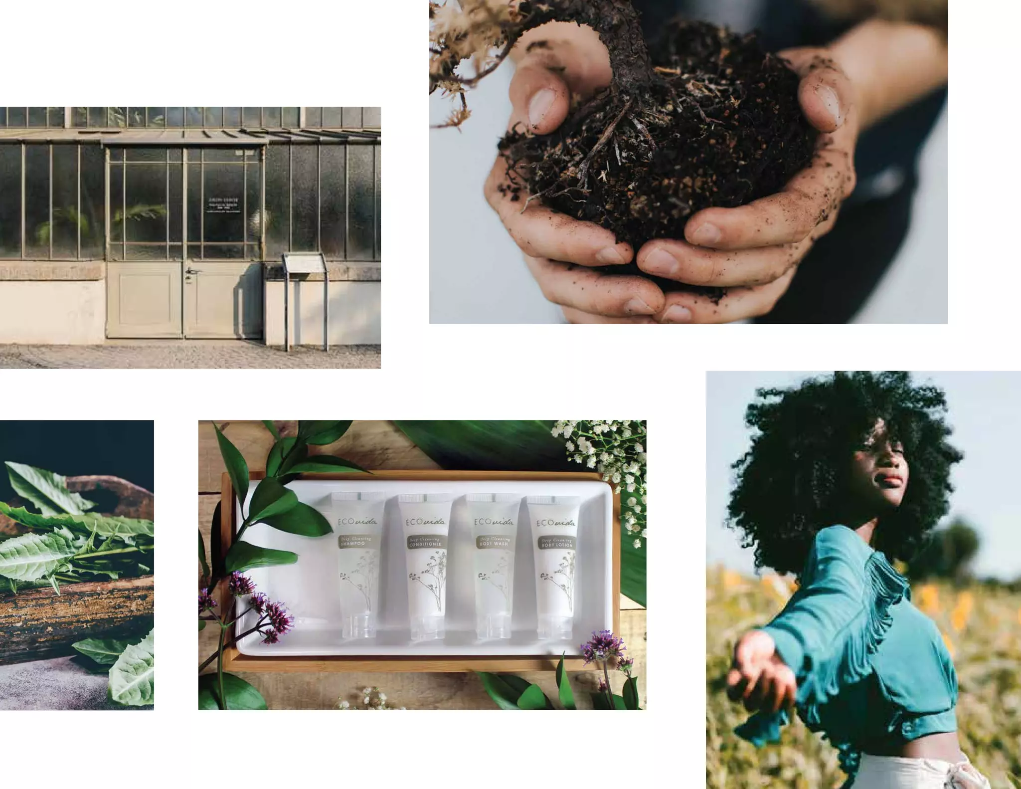 Eco vida brand guide globalinens | PDF | Skin and Dermatology ...