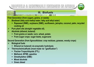 Beyond Fossil Fuels: Biofuel Opportunities for Africa | PDF