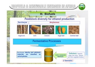 Beyond Fossil Fuels: Biofuel Opportunities for Africa | PDF | Power and ...