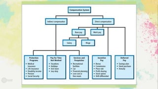 Executive compensation packages | PPT