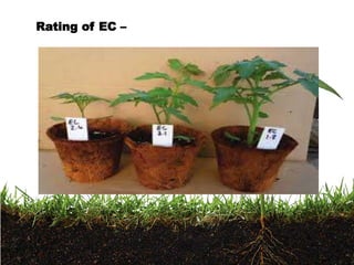 EC Parametter.pptx