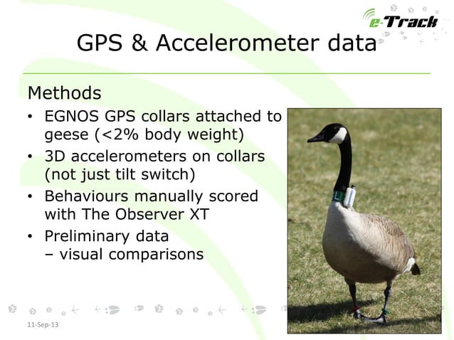 Animal behaviour analysis with GPS and 3D accelerometers | PPT
