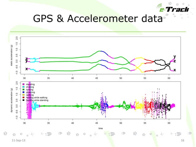 Animal behaviour analysis with GPS and 3D accelerometers | PPT