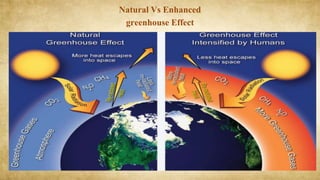 GLOBAL WARMING. | PPTX