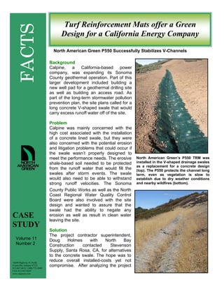 Ec rmx cs_ca_calpine | PDF