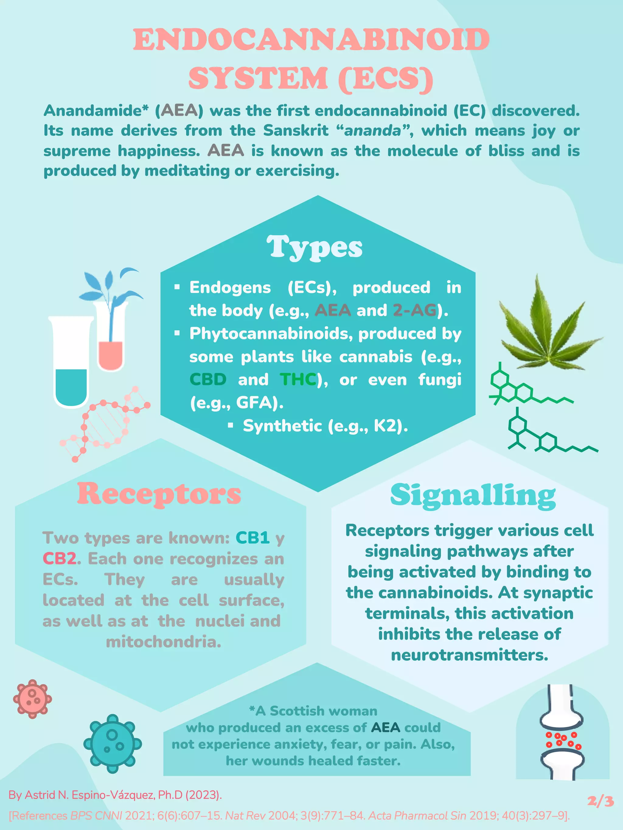 Endocannabinoid system | PPTX