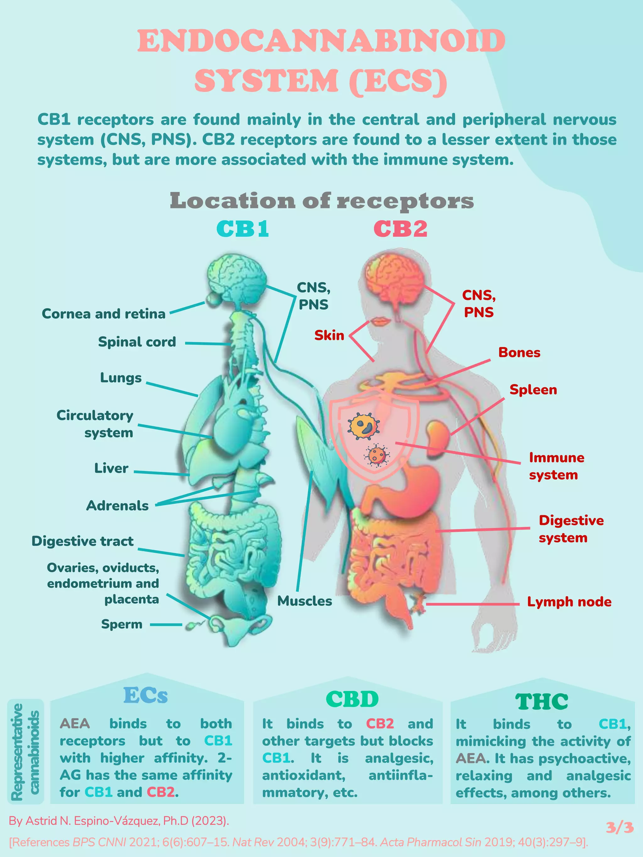 Endocannabinoid system | PPTX