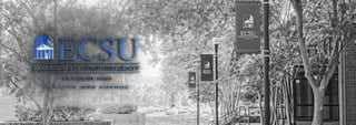 ECSU Srategic Plan 2020 | PDF