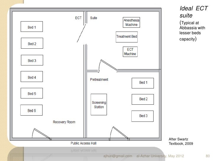 al-Azhar University ECT workshop