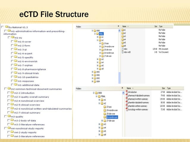 eCTD Submissions | PDF | Desktop Publishing | Computer Software and Applications