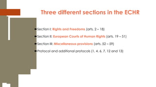 Presentation on the European Court of Human Rights | PDF