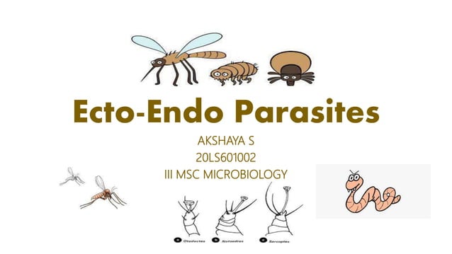 Ecto endo parasites | PPT