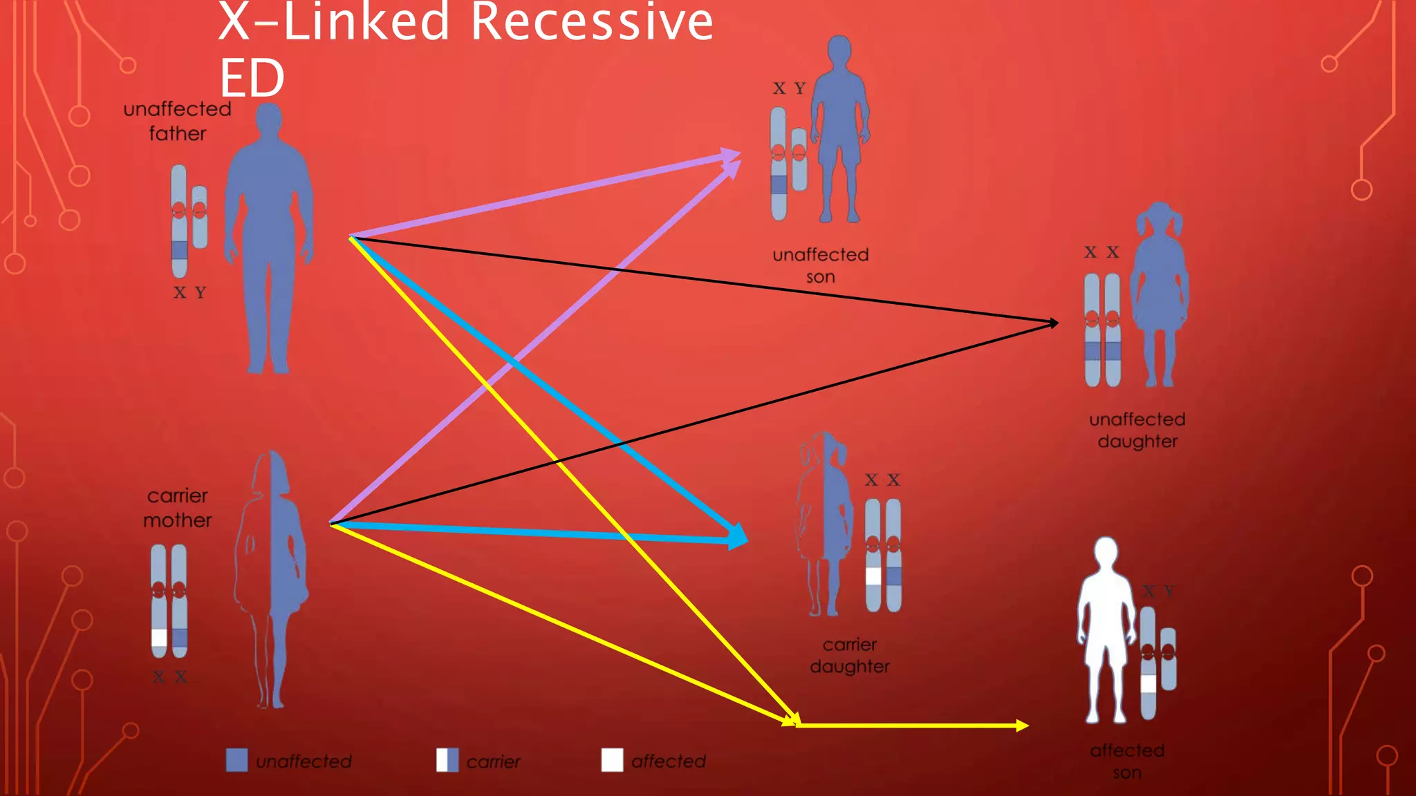 Ectodermal dysplasia | PPTX