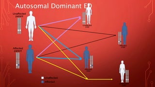 Ectodermal dysplasia | PPTX