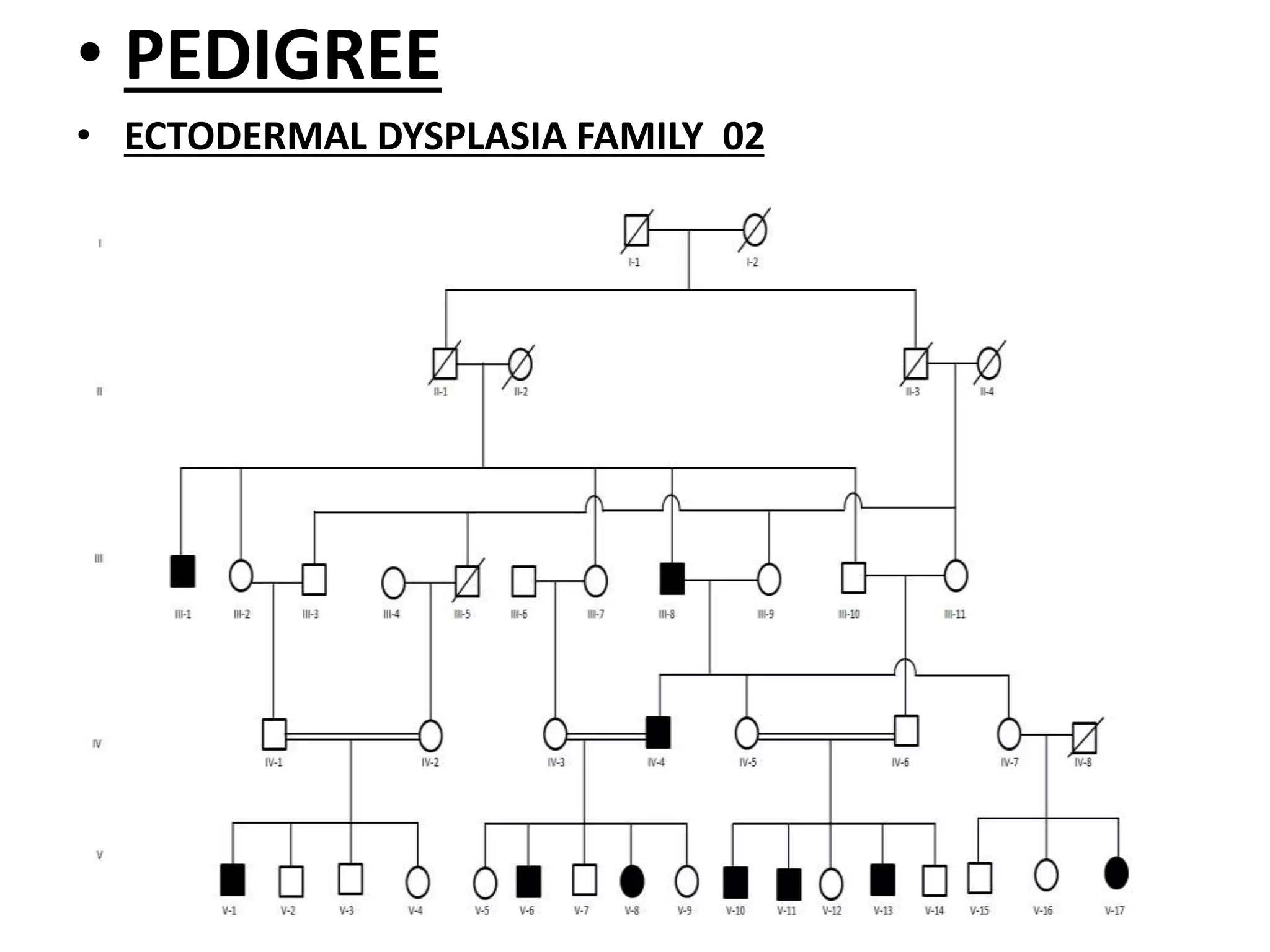 ECTODERMAL DYSPLASIAS | Genetic Disorder | PPTX