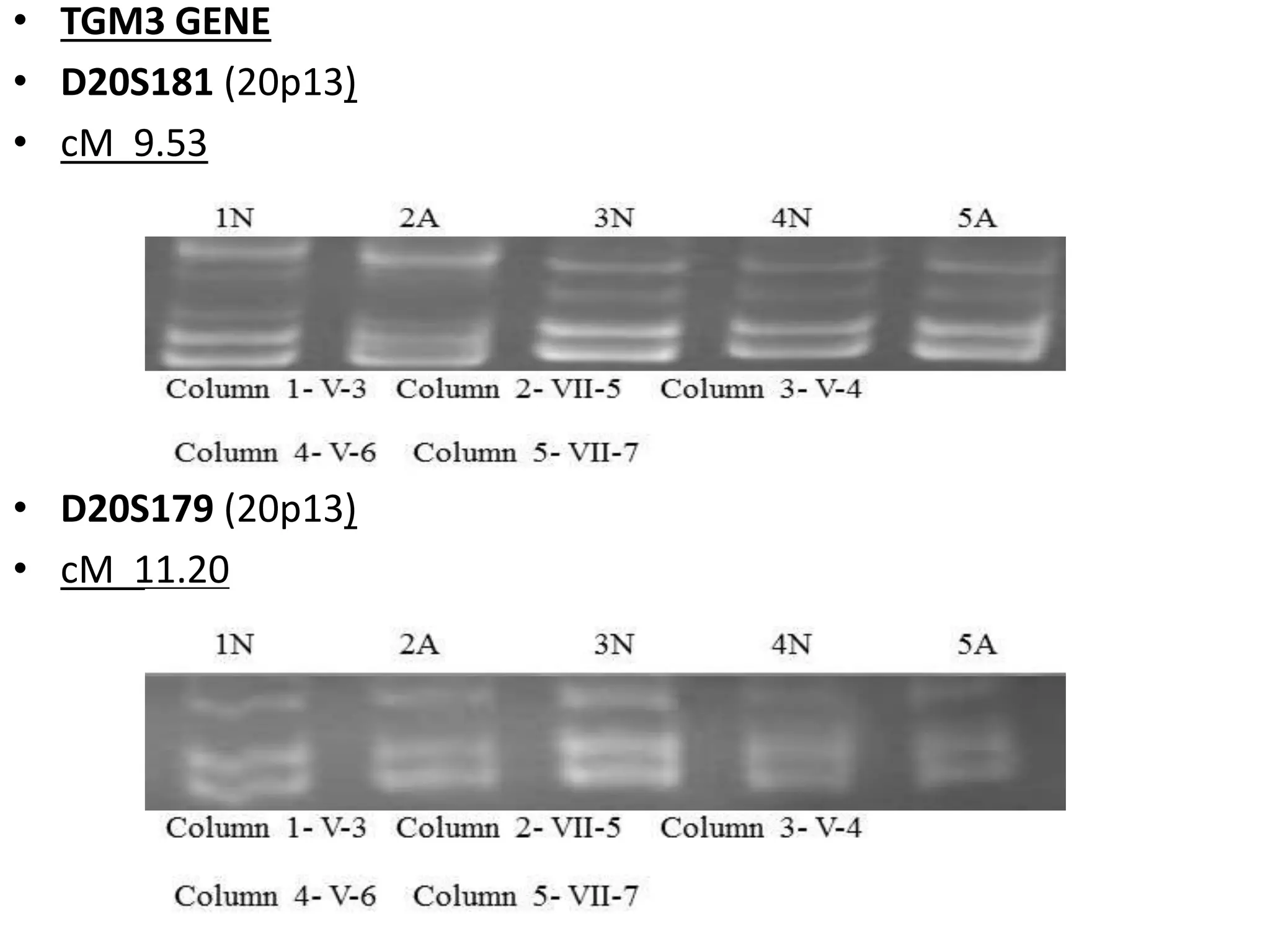 ECTODERMAL DYSPLASIAS | Genetic Disorder | PPTX