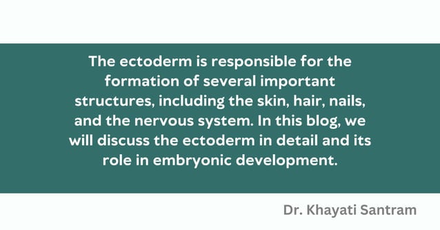 Ectoderm Composition, Development, Nervous System & Diseases.pdf