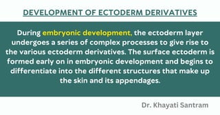 Ectoderm Derivatives.pdf