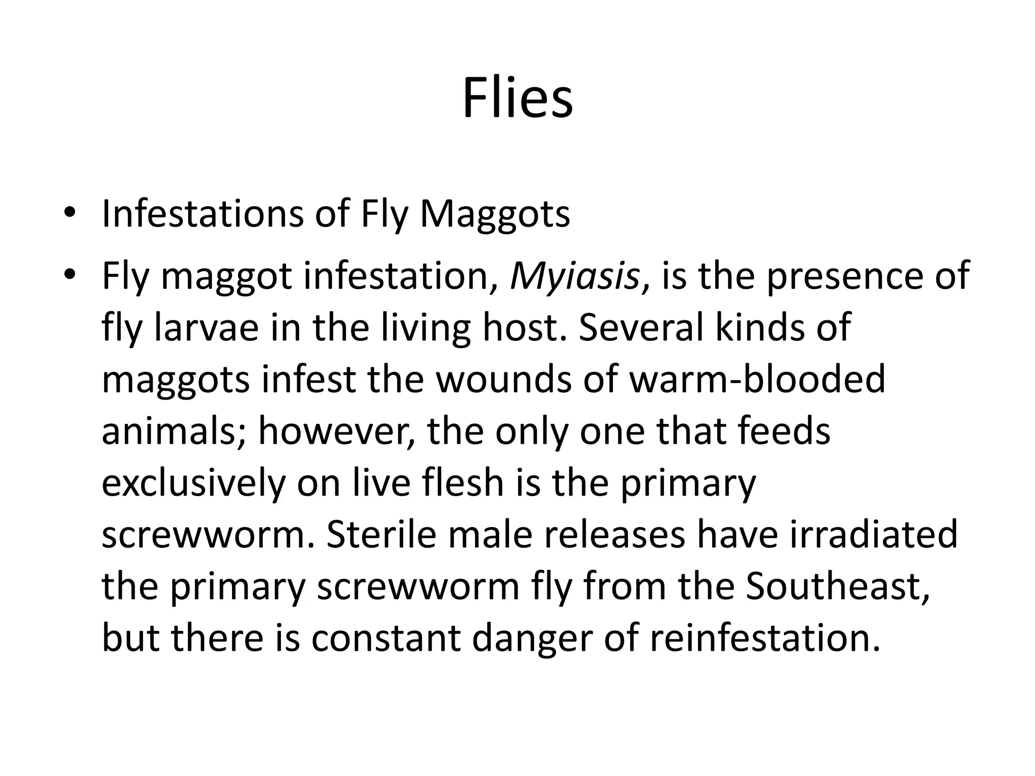 Ectoparasites : Ticks , Mites , Fleas , Flies | PDF