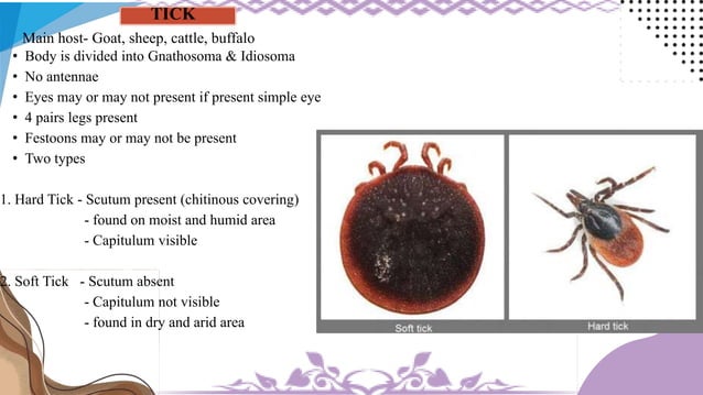 ECTOPARASITES IN FARM ANIMAL AND THEIR MANAGEMENT (7).pptx
