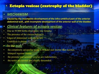 Ectopia and cystitis | PPT