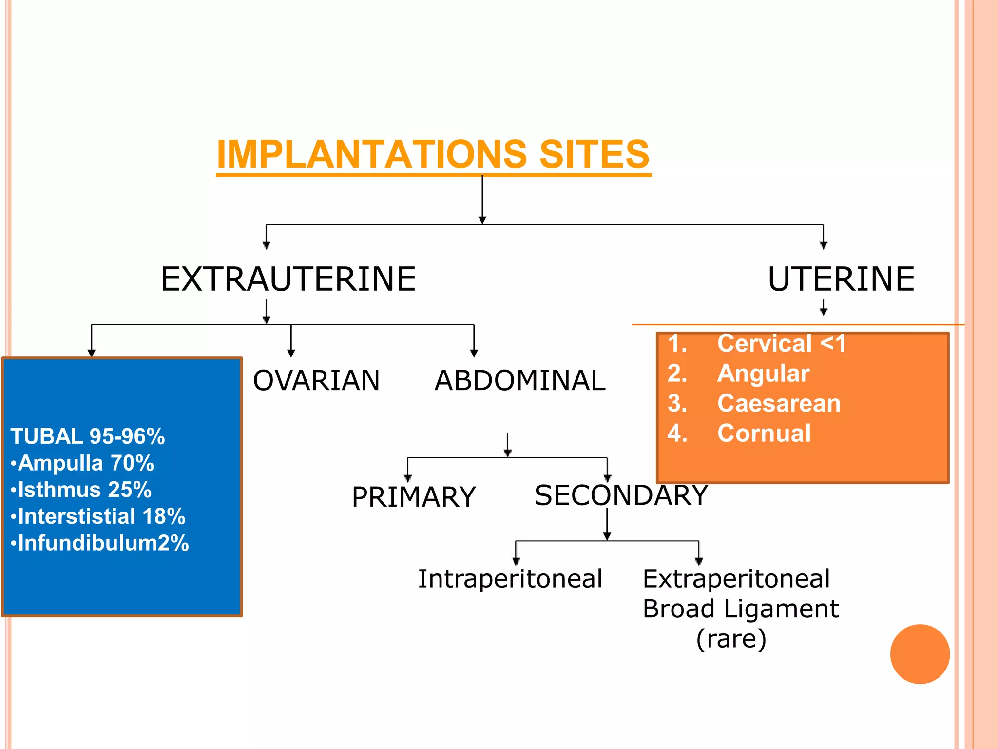 ECTOPIC P.pptx