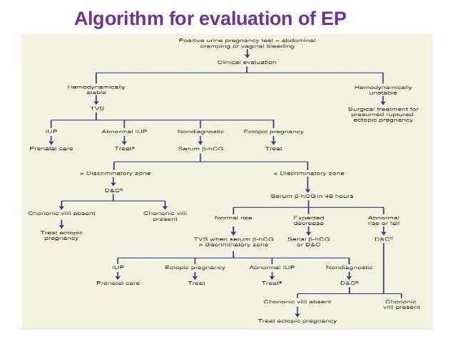 Ectopic pregnancy (Dr.Rafi Rozan)