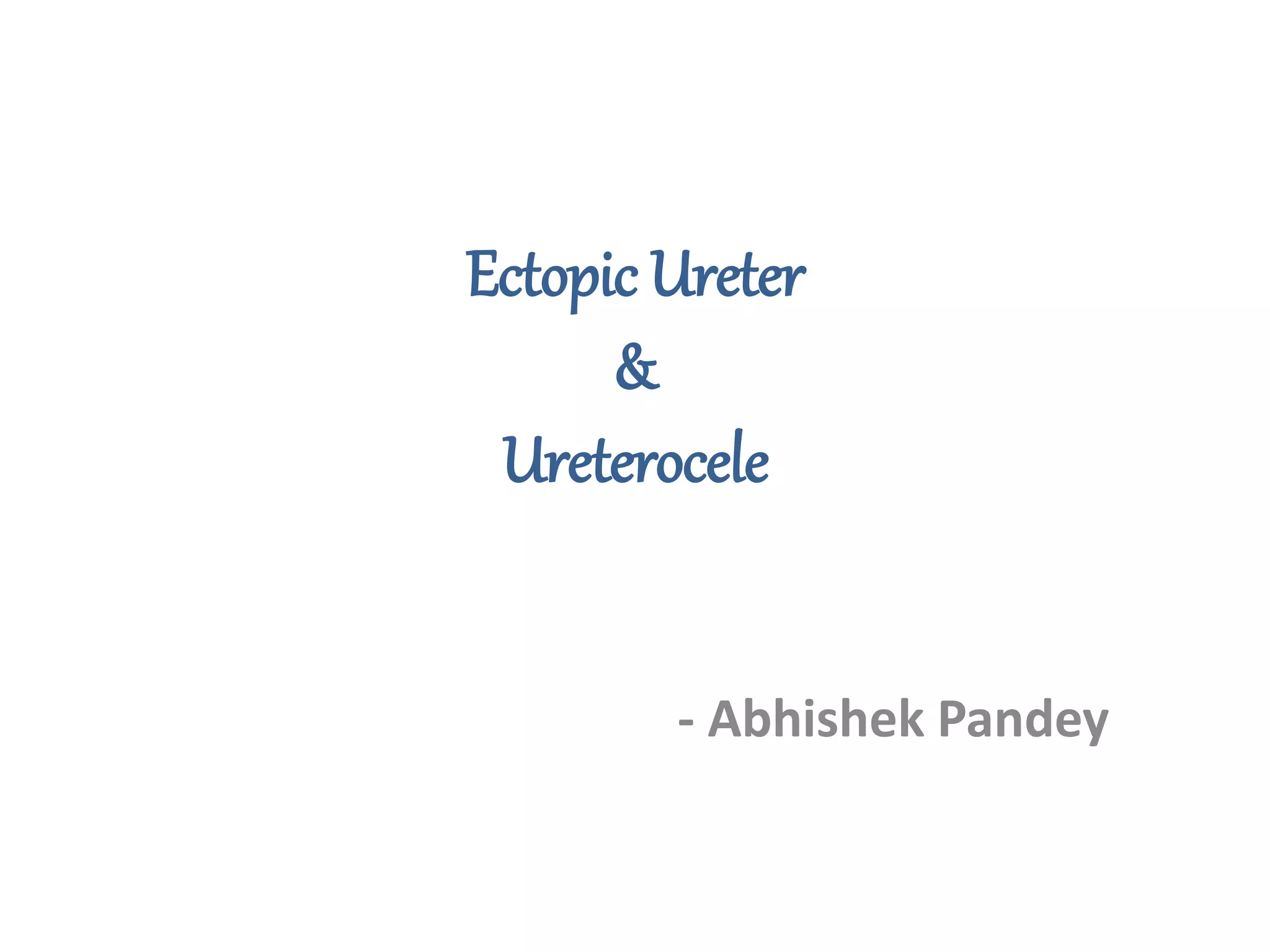 Ectopic ureter and ureterocele - Embryology and Presentation | PPTX